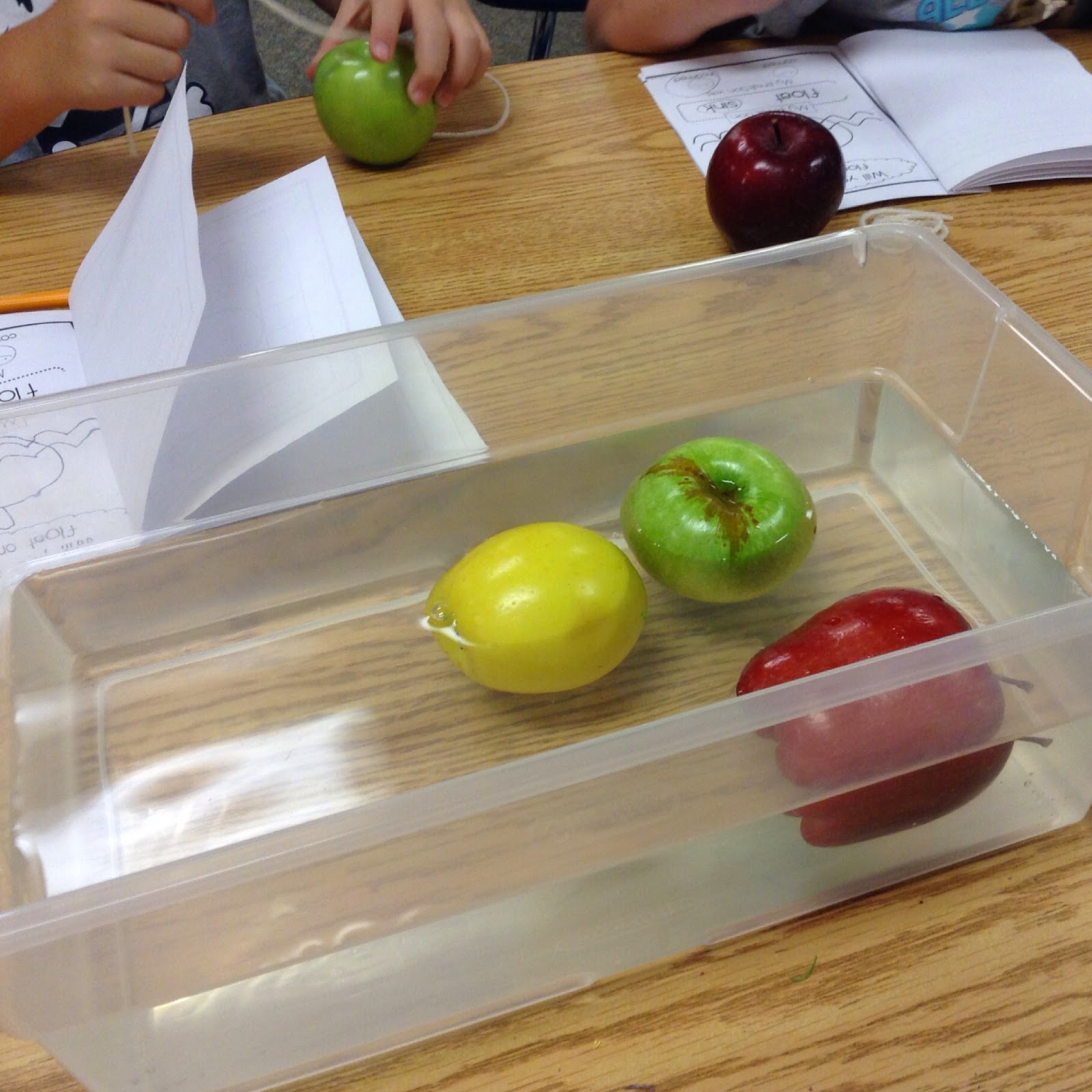 School Is a Happy Place: How Bout Them Apples?