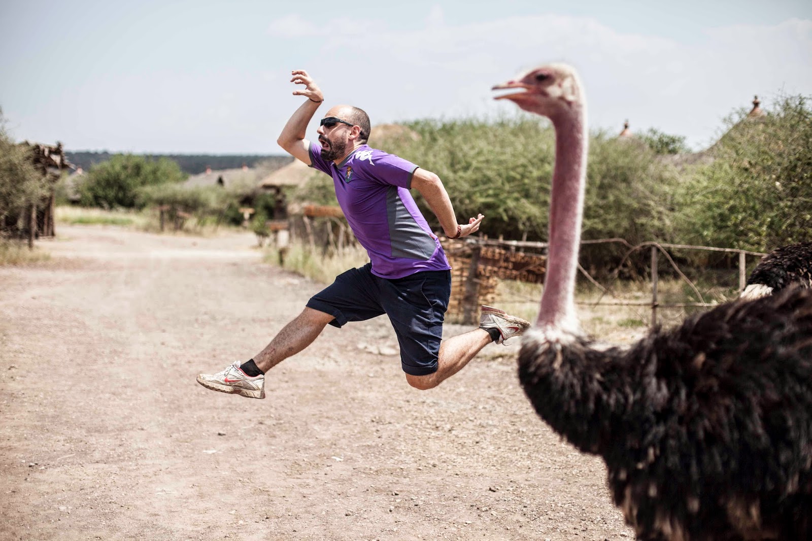 JUMPING PICTURES: Ostrich jumpings!!