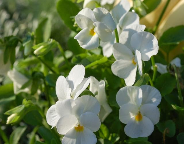 Wat er van komt als je met een tuinfreak gaat sporten.