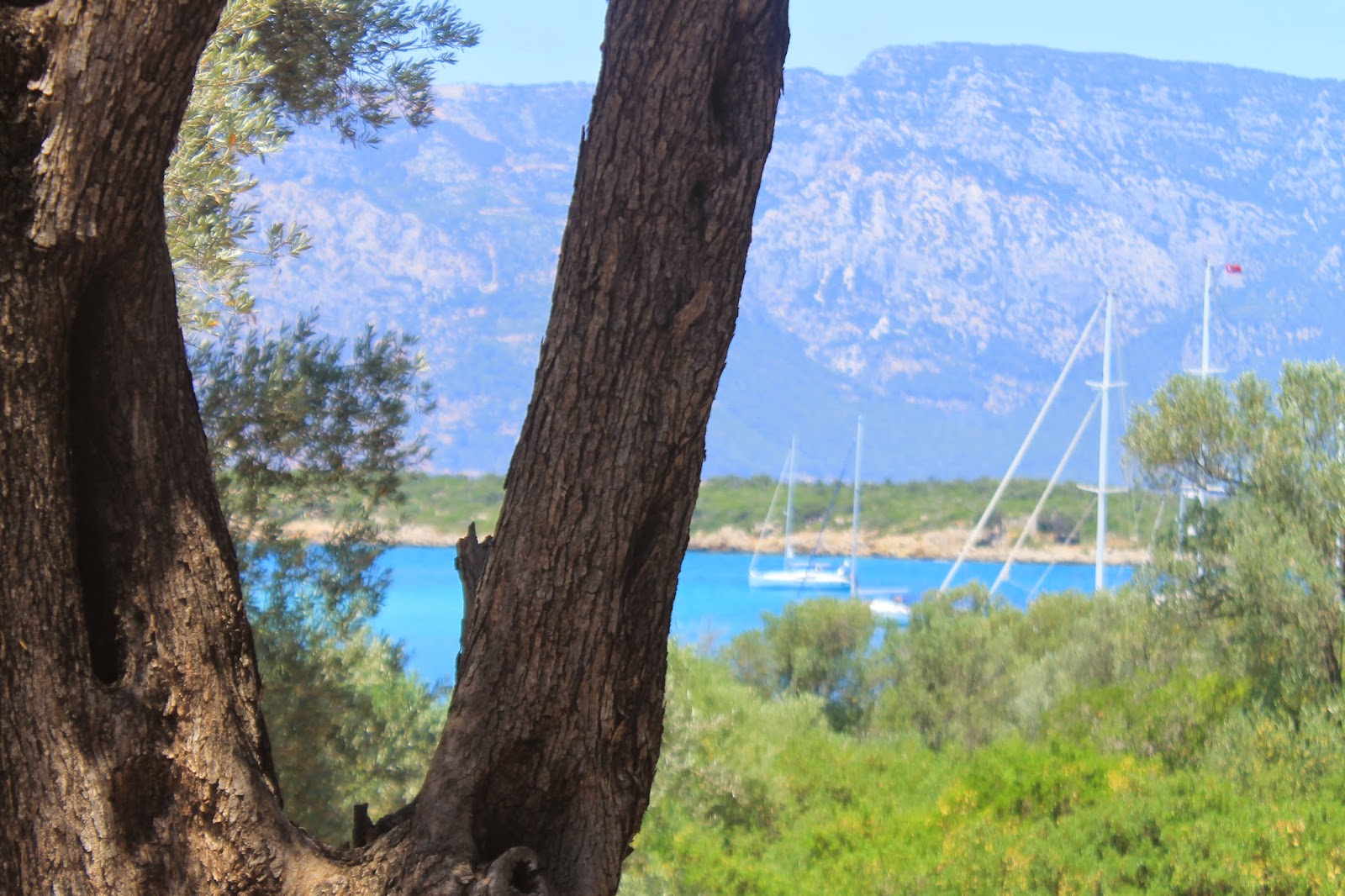 okurgezer2014: AKYAKA-SEDİR ADASI-BODRUM