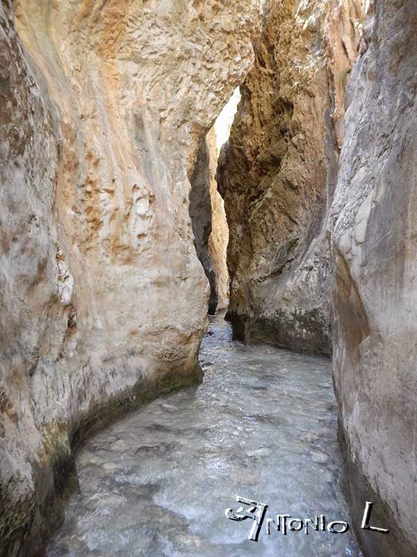 SENDEROS EN LA NATURALEZA: Ruta por el río Chillar. Nerja