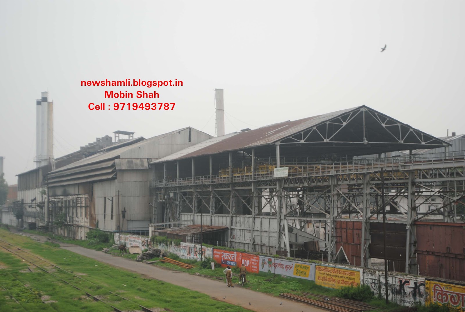 shamli शामली