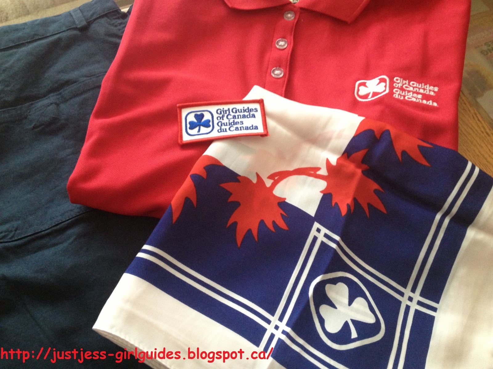 Just Jess's Girl Guide Blog: International Uniform