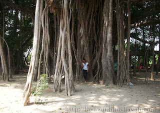 Sivaranthagam Sacred Grove (Pondicherry aka Puducherry) | My Travelogue ...