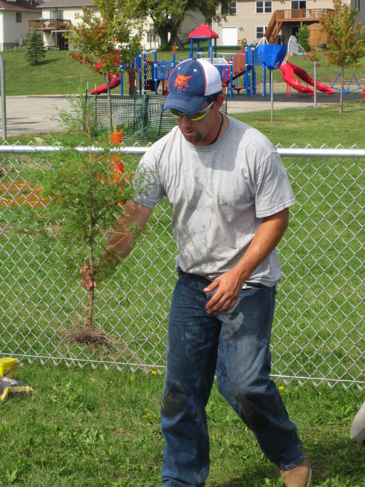 Ms. Conlee's Kindergarten Class : Tree Planting!