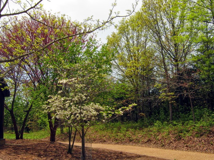 Kalpanthakalam: RUNGE NATURE CENTER, JEFFERSON CITY,MO