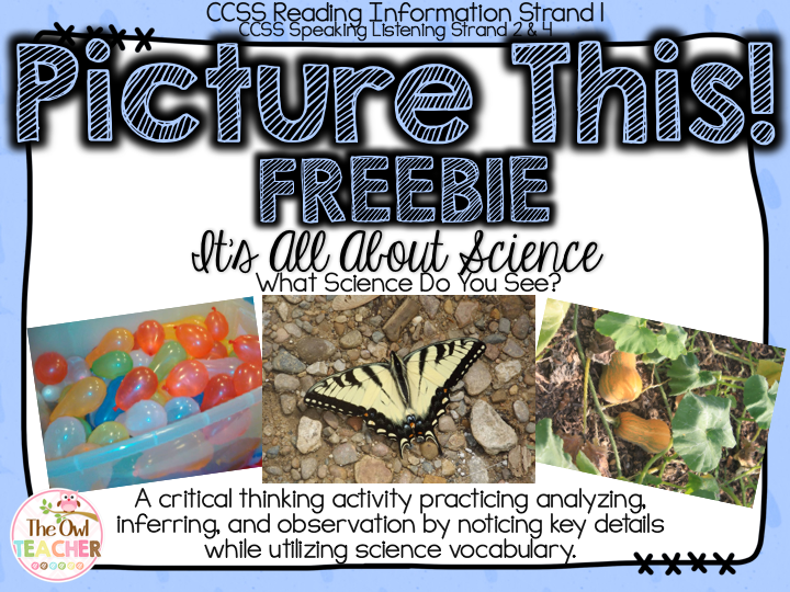 Classroom Freebies Too: Science Picture of the Day