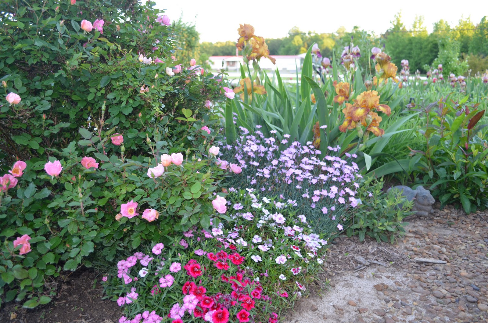 Christy's Cottage Wildlife Garden: The Magical Beauty of Spring!