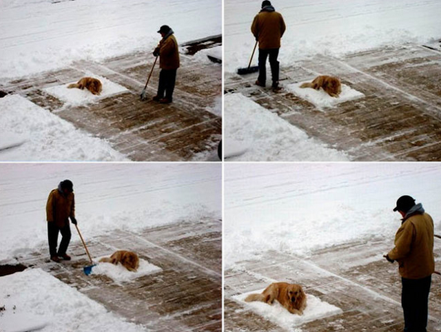 mundodeporte: LAS 13 PERSONAS MAS FLOJAS DEL MUNDO. LA #6 MERECE IR A ...