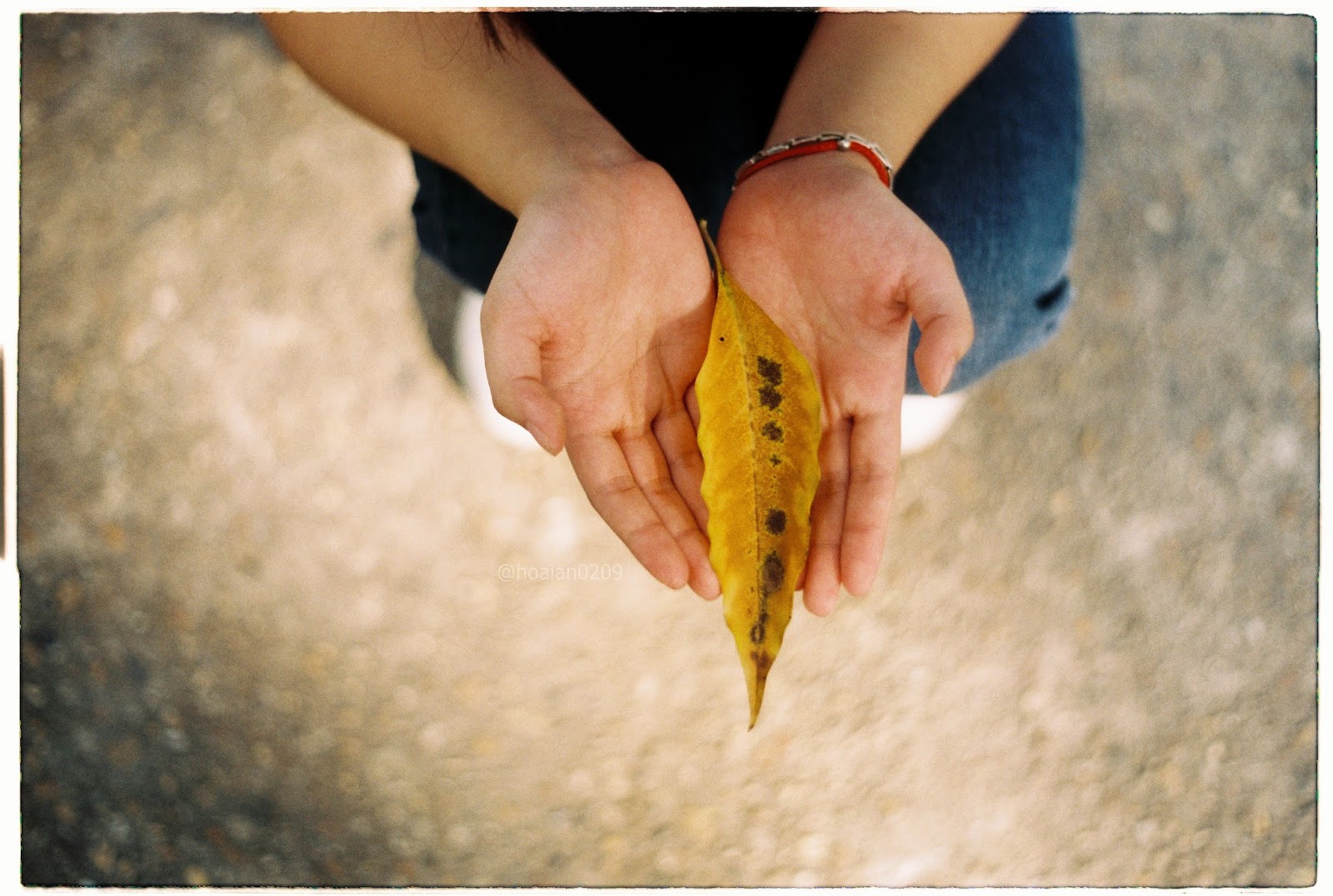 BEAUTIFUL THINGS - Wild and Young