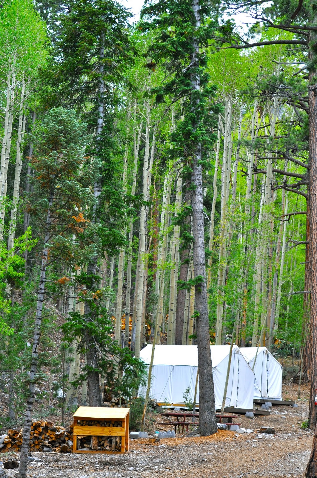 Las Vegas Stake Young Women: YW Camp