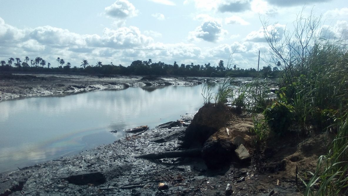 BIAFRA: MOBILIZATION TEAM RECORD GREAT SUCCESS IN OGONI LAND - The ...