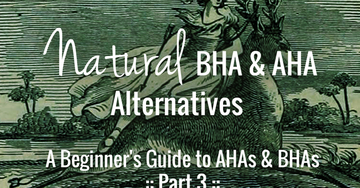 Do Natural AHA and BHA Alternatives Work? :: A Beginner's Guide (Part 3 ...