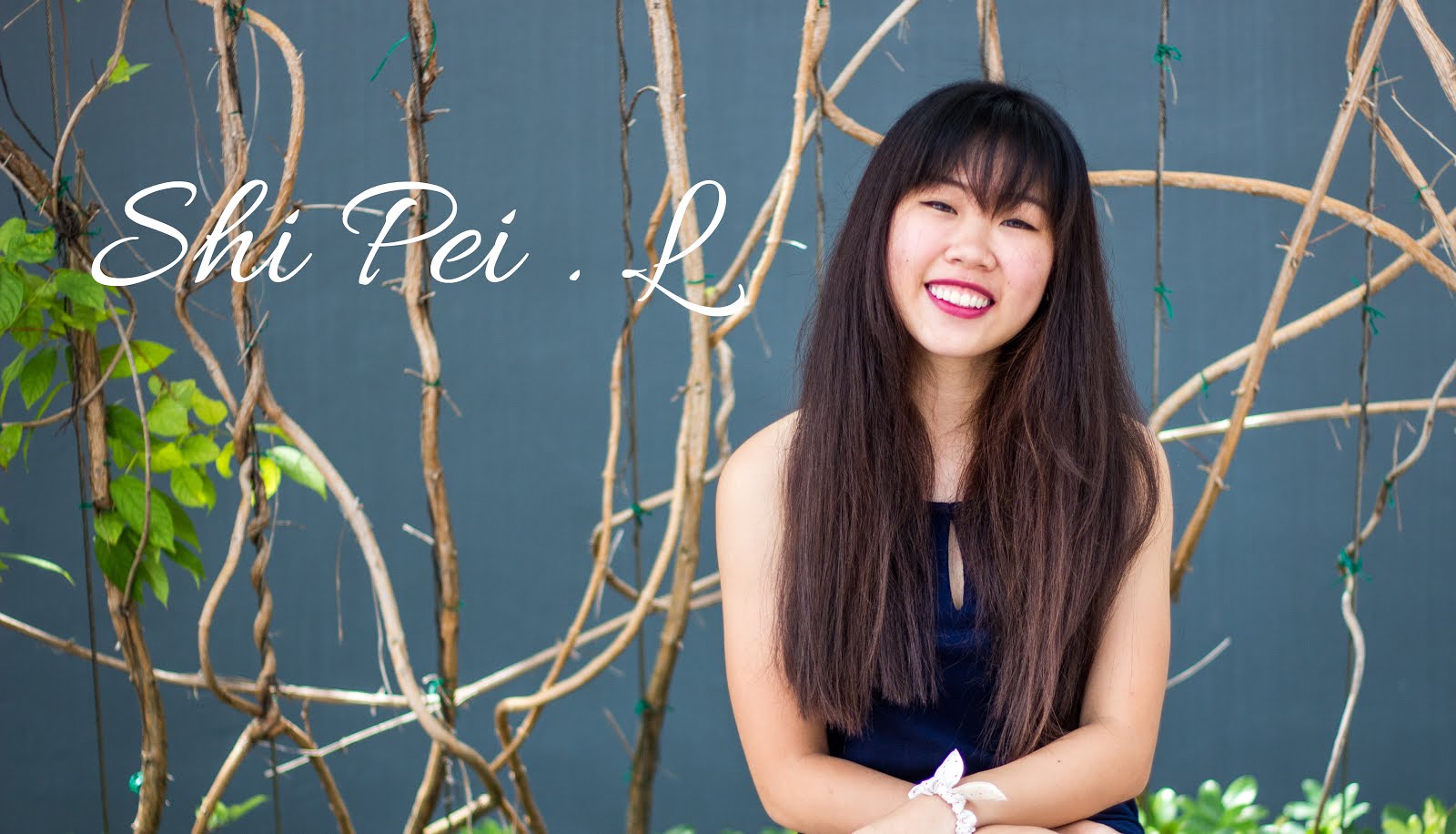 AboutMe - Shi Pei .L