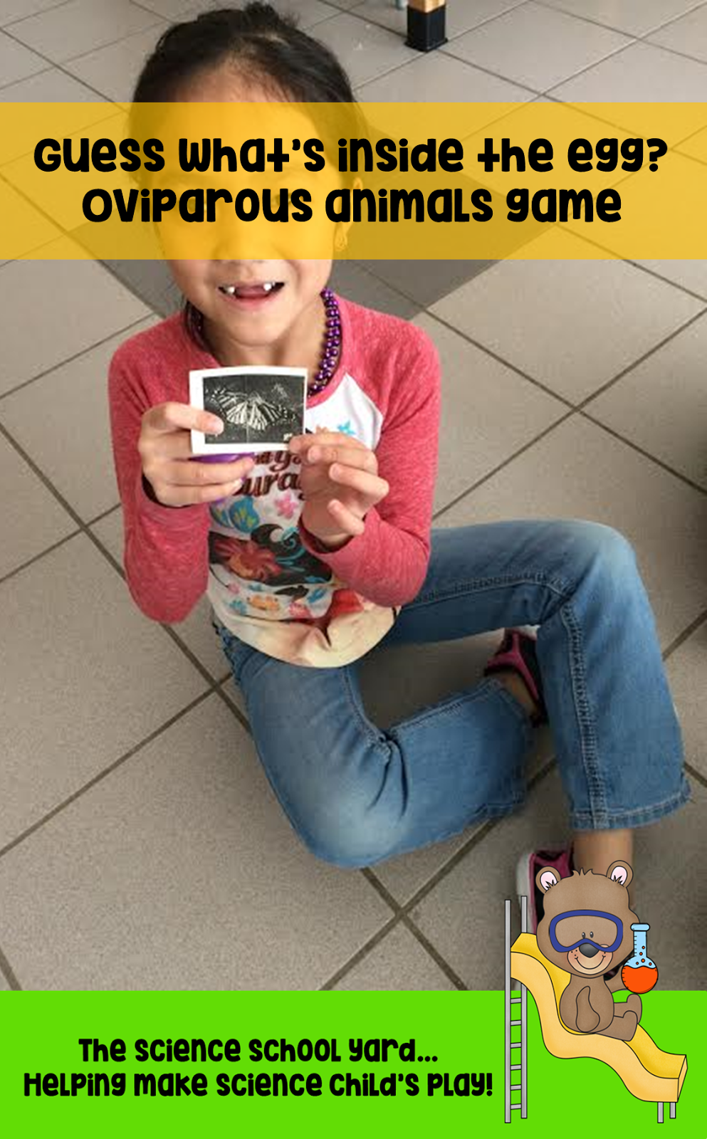 Oviparous Animals: Hatching a Great Science Lesson - The Science School ...