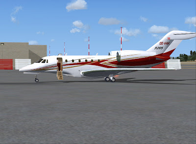 FlySim&Real: luglio 2011