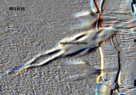 ANA LUISA CID: Extraño ser alado, San Luis Potosí