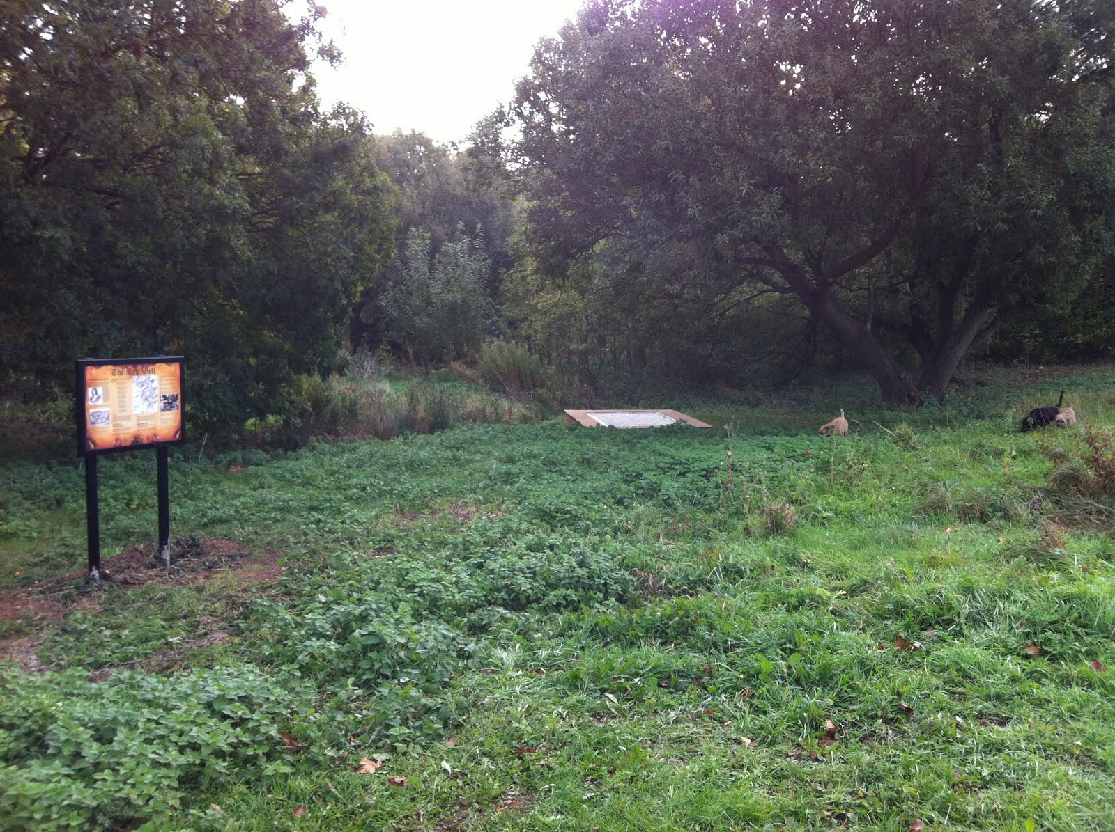 Red Well of Wellingborough: Red Well, Wellingborough - a little bit of ...