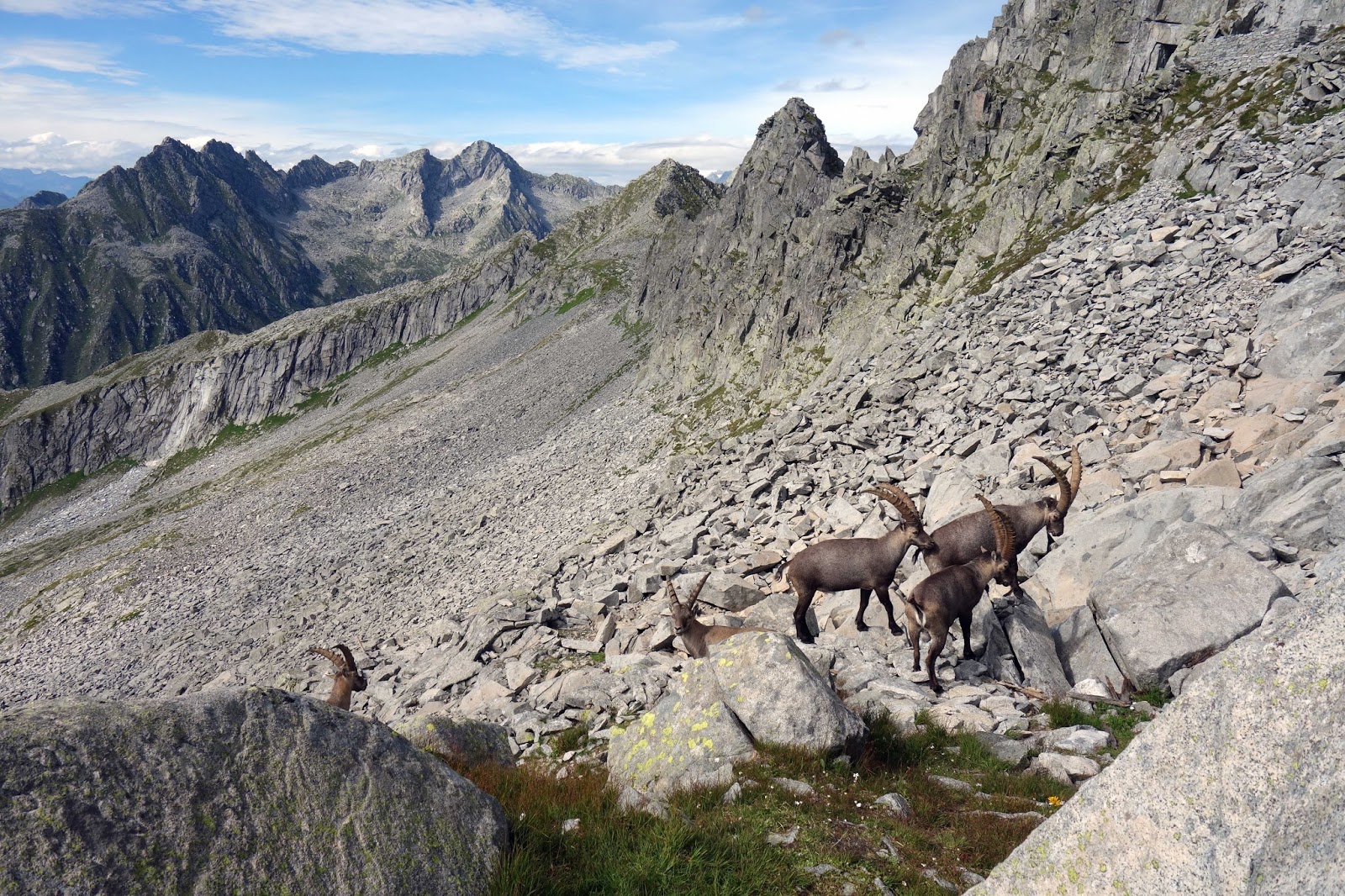 Una giornata in montagna: Dalla Val Paghera al Monte Listino