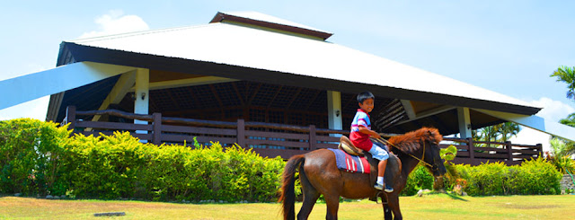 Day Tour Around Puerto Princesa City in Palawan - Trails of Tiny Tina