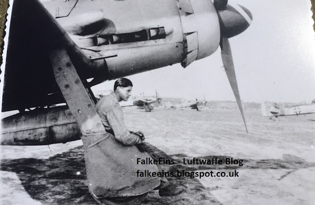 FalkeEins - the Luftwaffe blog: Fw 190 Dora 9s of II./JG 301 pictured ...