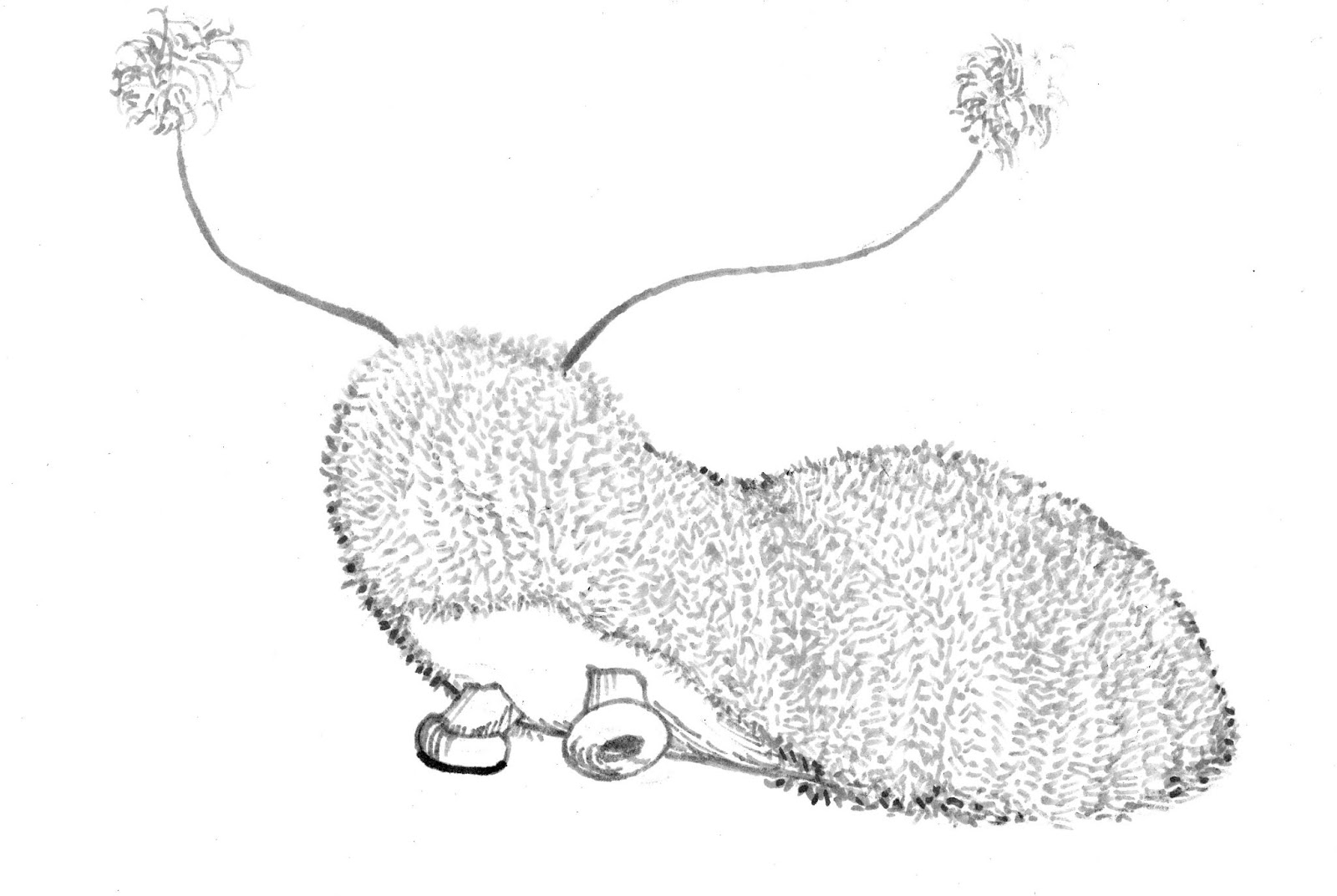 Kyndra Hatch's Blog: Ruby Lionsdrake and Quashi #PetsInSpace @GoblinWriter