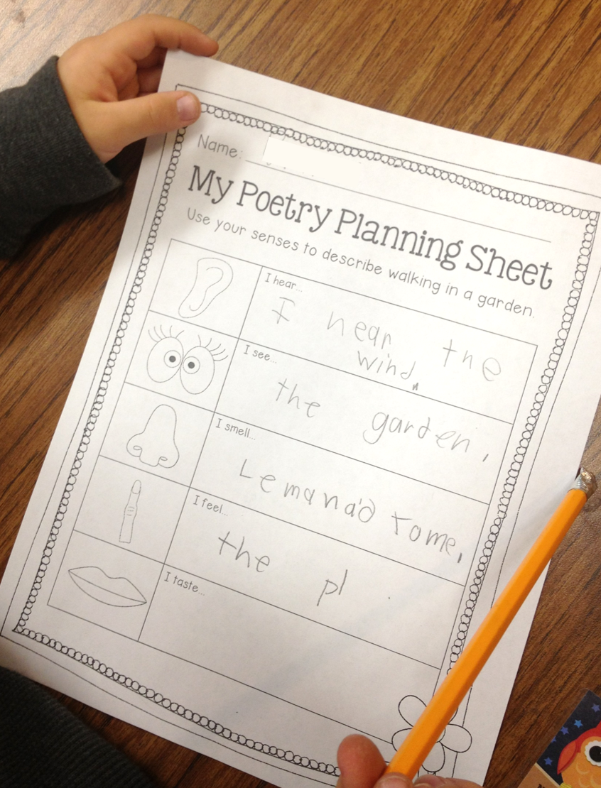 Writing Poetry in the Primary Grades - Susan Jones Teaching