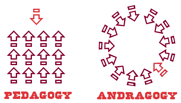 Andragogi. Sejarah, Arti, Konteks, Fungsi.