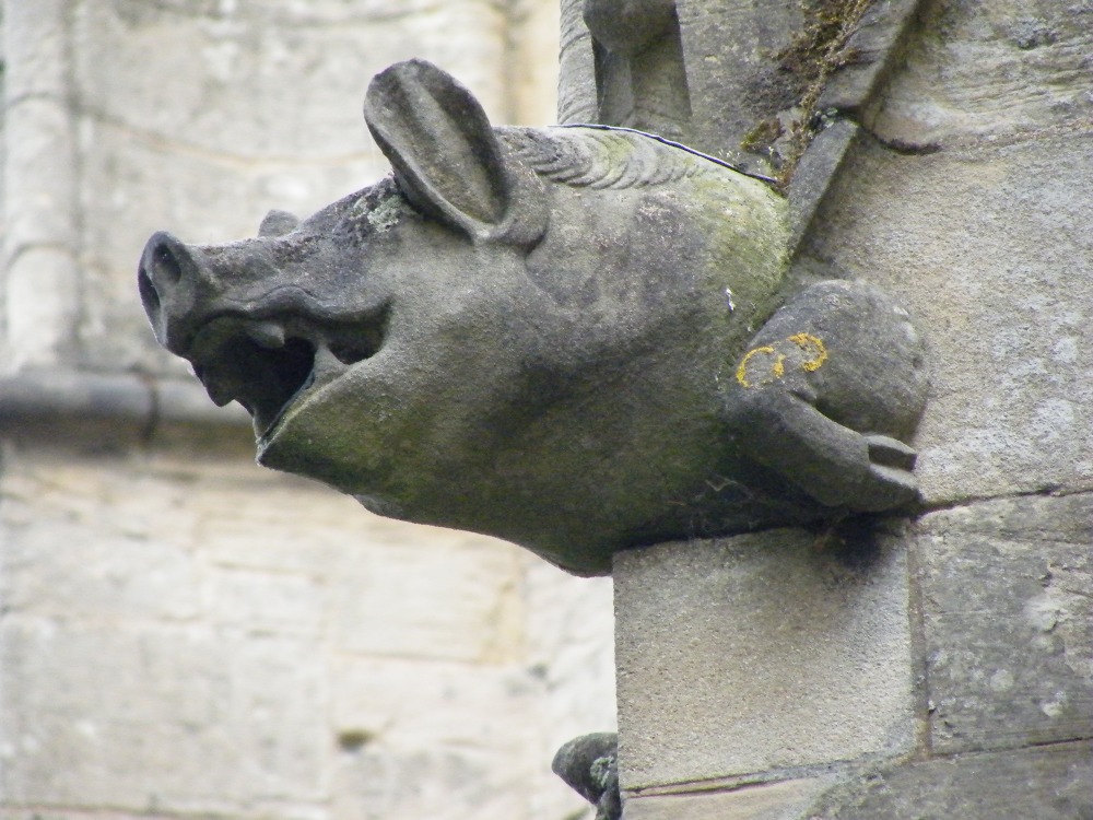 Travelling the Canals of England: Robin Hood Lands