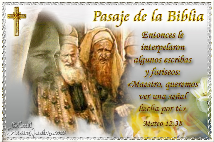 Vidas Santas: Santo Evangelio según san Mateo 12:38