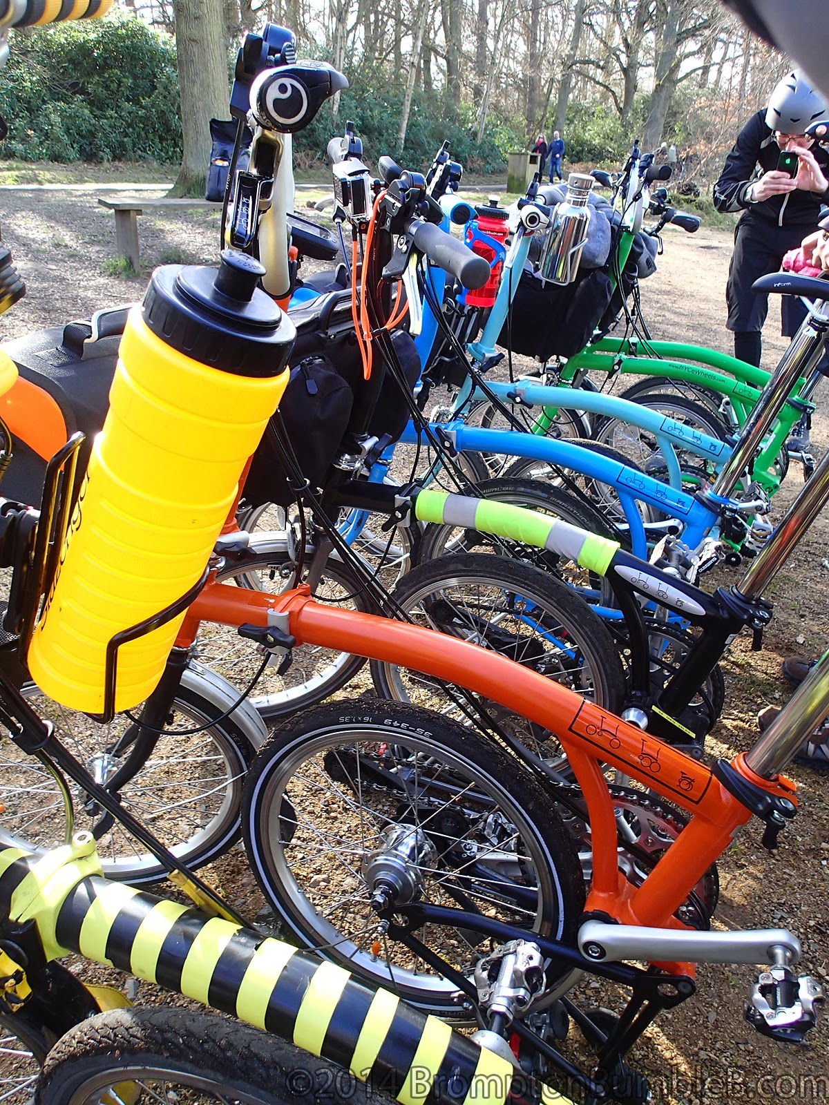 The Legend of the Brompton Bumble B: BumbleB visits Windsor Great Park ...