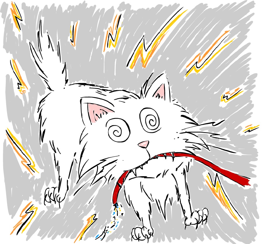 Laura Ireland's Animation Blog...