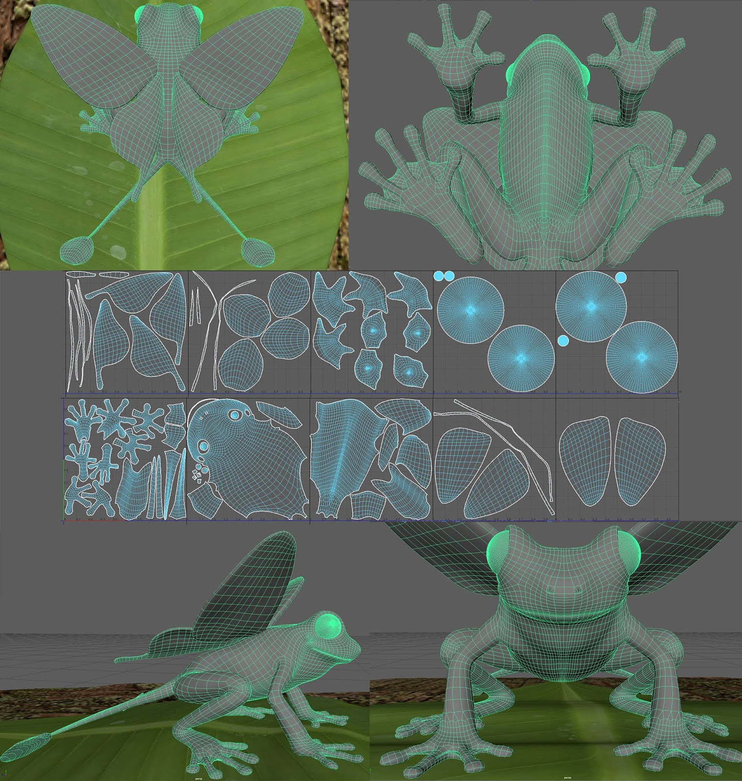 Ewelina's Art: Frog creature design complete