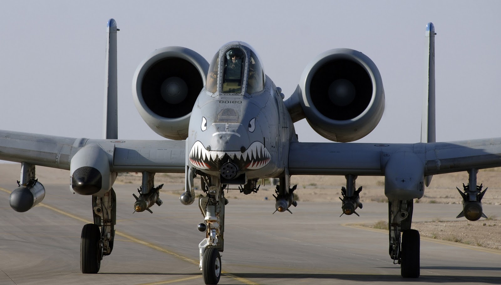 Global War Birds: A-10 Thunderbolt II