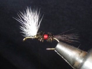 Fly Tying Videos: How to Tie Flies for Freshwater and Saltwater: How to ...