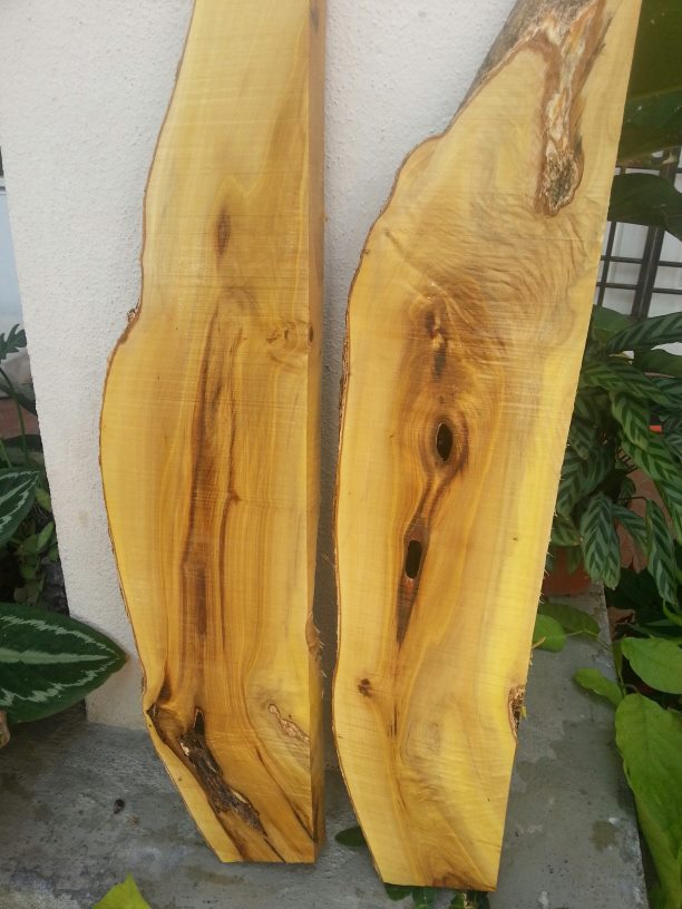 Kayu Warisan Malaysia: Kayu Kemuning emas