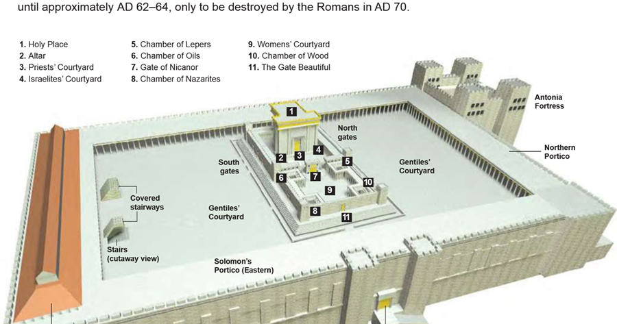 Breathing With Both Lungs: CLEAN OUT YOUR TEMPLE: a homily for the ...