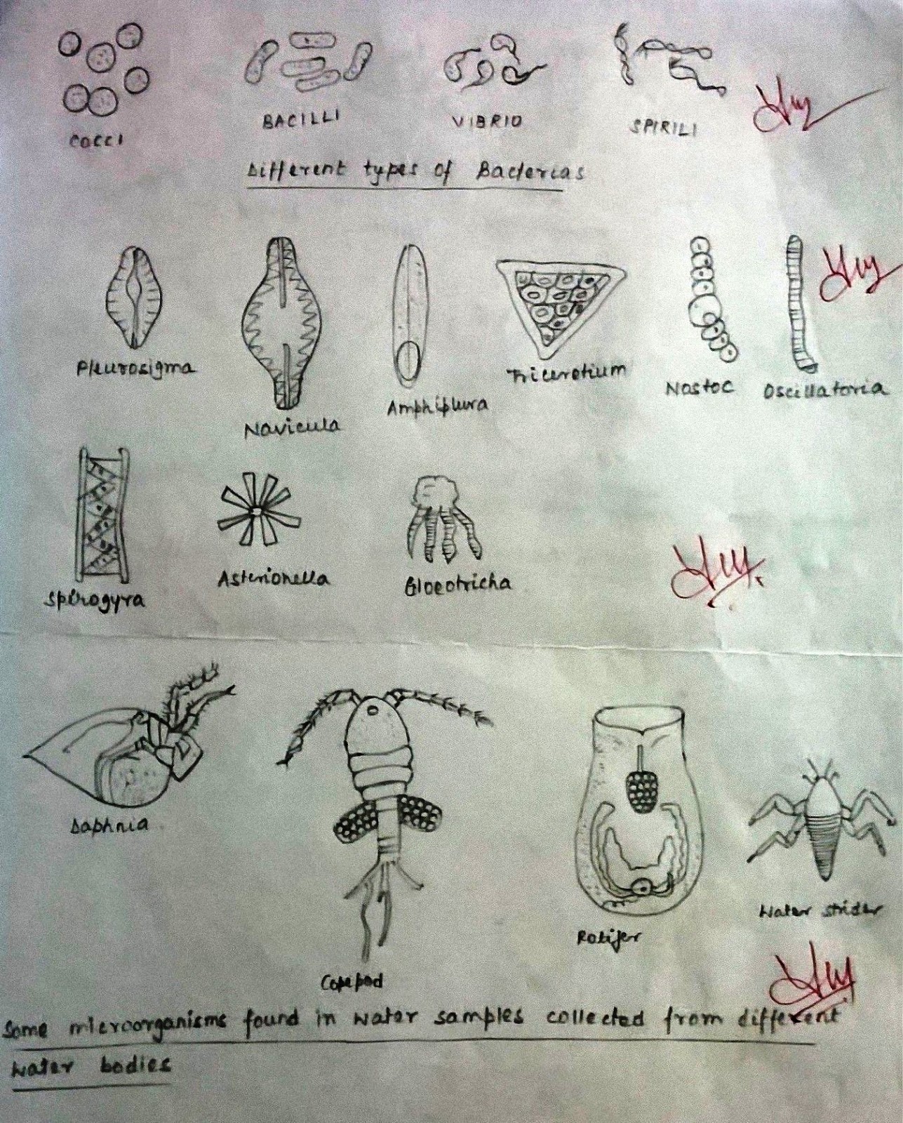 practical diagrams which are to be drawn