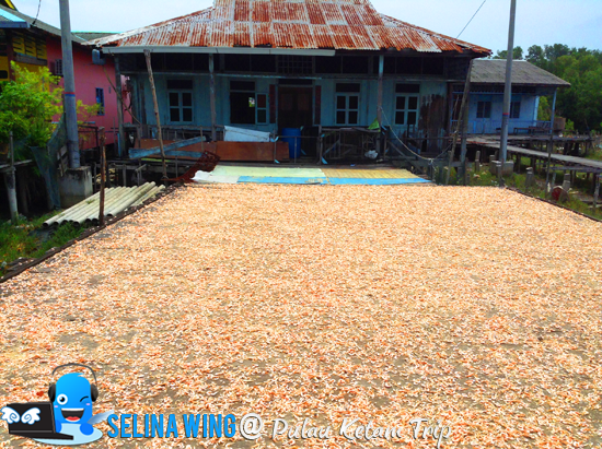 My Sight-seeing to Pulau Ketam - A Trip Day of Crab Island, Malaysia