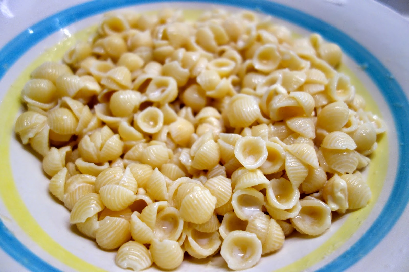 Trader Joe's Organic Shells and White Cheddar Macaroni & Cheese