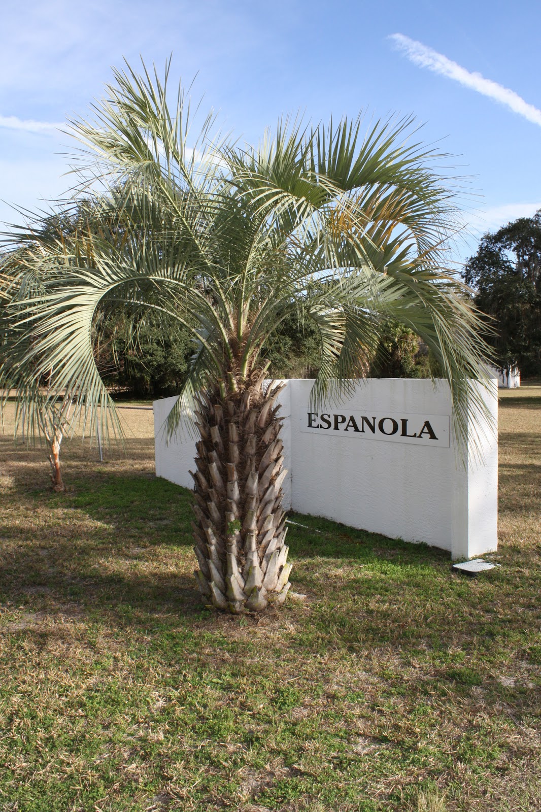 Cemetery a Day in May: Espanola (Flagler County)