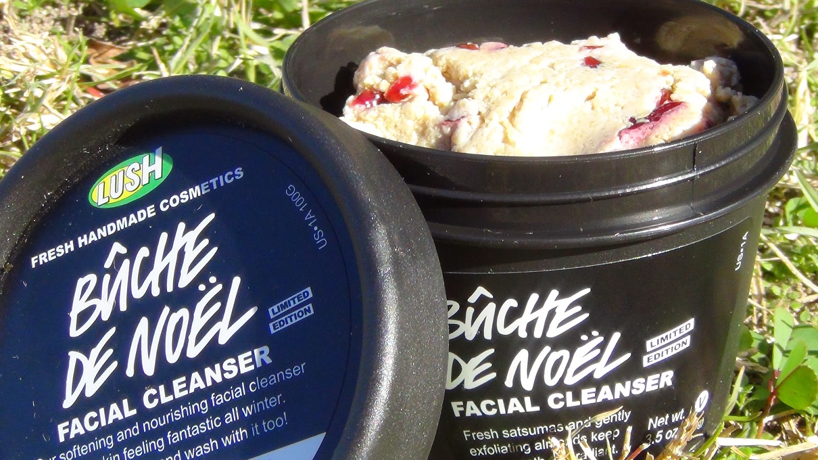 Living the Paisley Life: LUSH Fresh Handmade Cosmetics Review