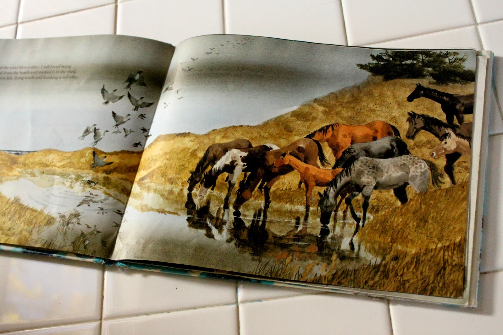 Wild Horses of Sweetbriar {FI♥AR} — Delightful Learning