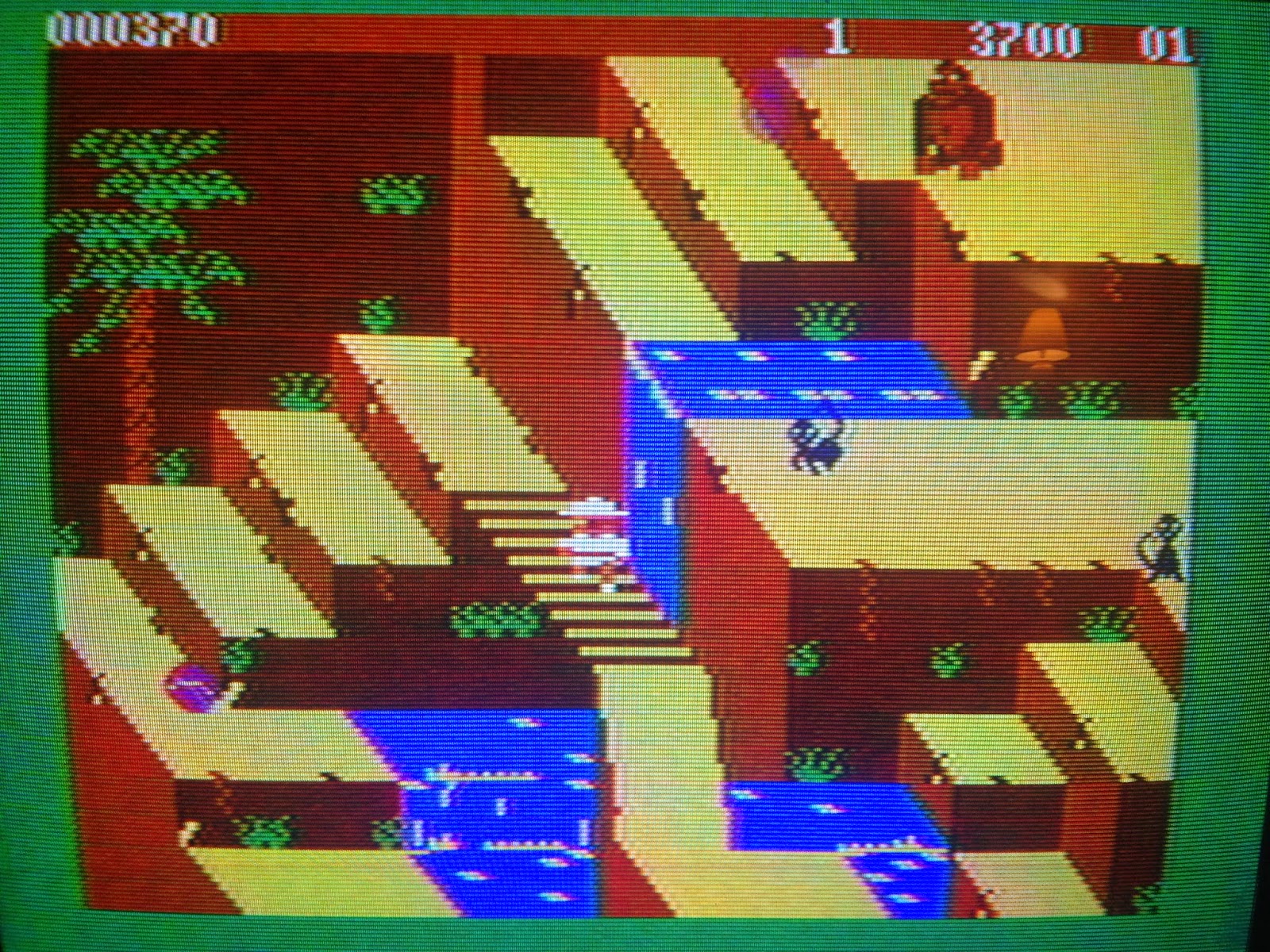 WORLD OF BLENDO75: C64 Review - Congo Bongo (C) 1983 Sega