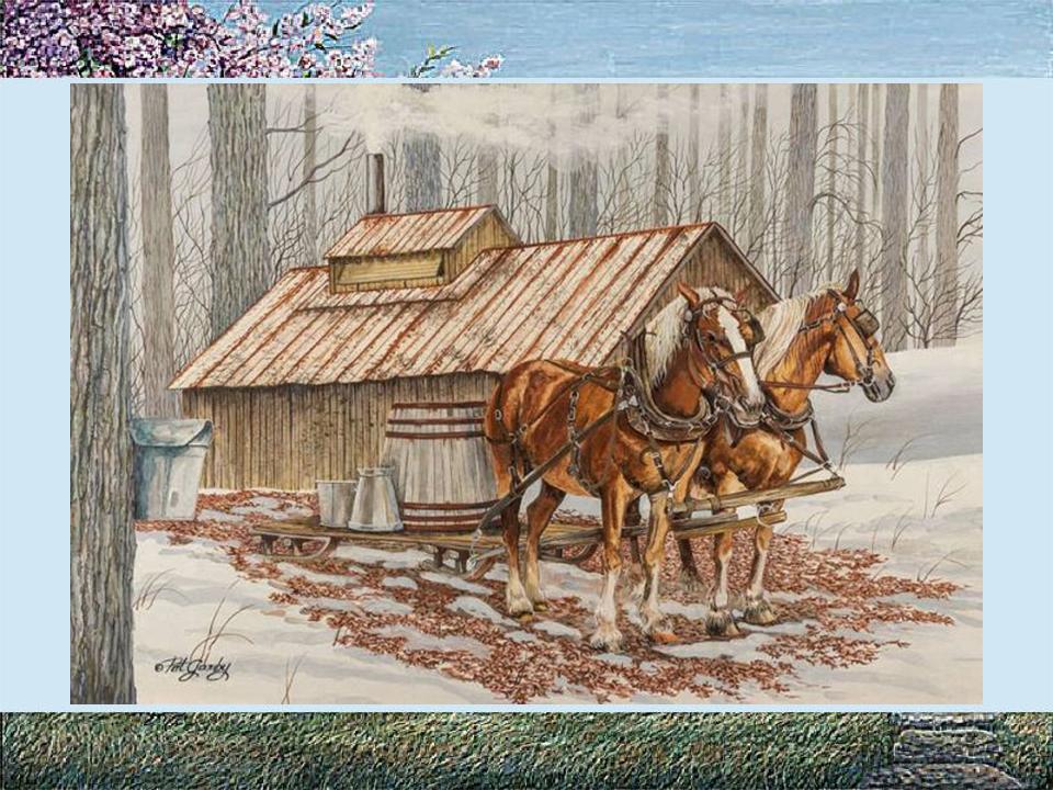 Soloillustratori: Pat Gamby