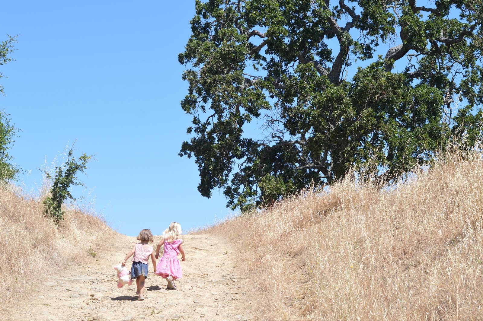 Musings on the Simple Life: Camp Out