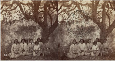 A WineDark Sea: Bringing Bessie Flowers Home