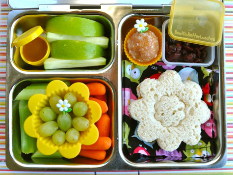 PlanetBox Eco Friendly Lunch Box - Polish Housewife