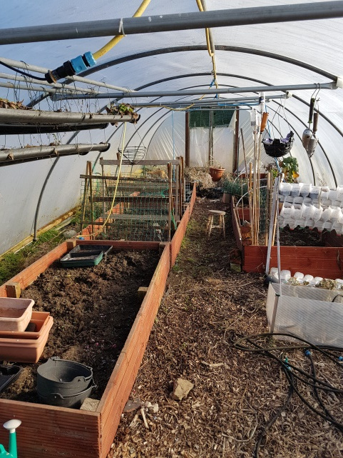 Martin's Garden: Polytunnel Layout