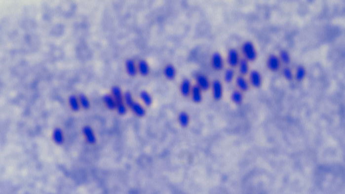 Rosa Rubicondior: How Science Works - Correcting Errors